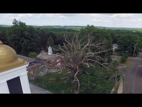 New Jersey town saying goodbye to 600-year-old icon