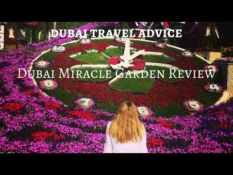 The Dubai Miracle Garden Review - Dubai Travel Advice