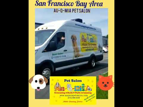 AU-Q-MIA PET SALON - MOBILE DOG GROOMING