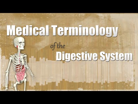 Medical Terminology of the Digestive System