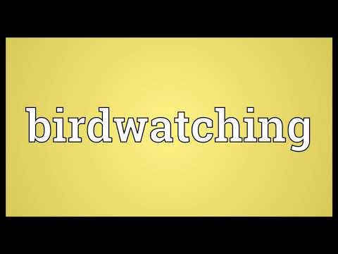 Birdwatching Meaning