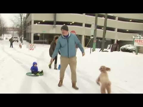 WINTER WONDERLAND: Atlanta residents sled, build snowmen in rare winter weather
