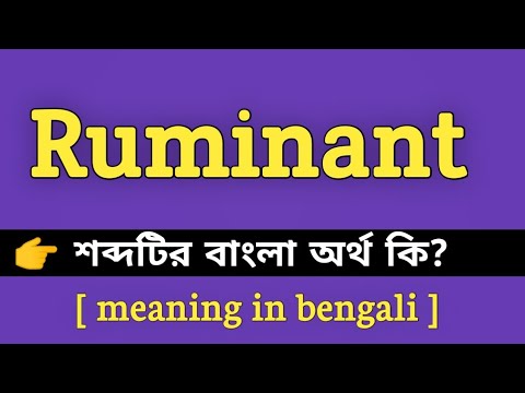 Ruminant Meaning in Bengali || Ruminant শব্দের বাংলা অর্থ কি || Bengali Meaning Of Ruminant