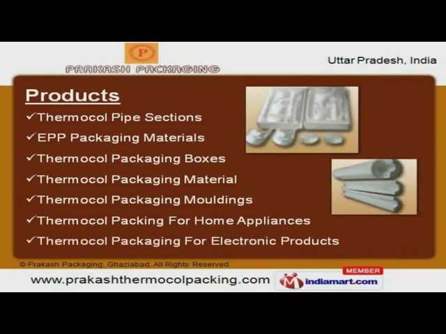 Thermocol Packaging Boxes - Thermocol Fish Box Manufacturer from Ghaziabad