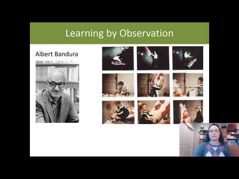 Introductory Psychology Learning: Observational learning