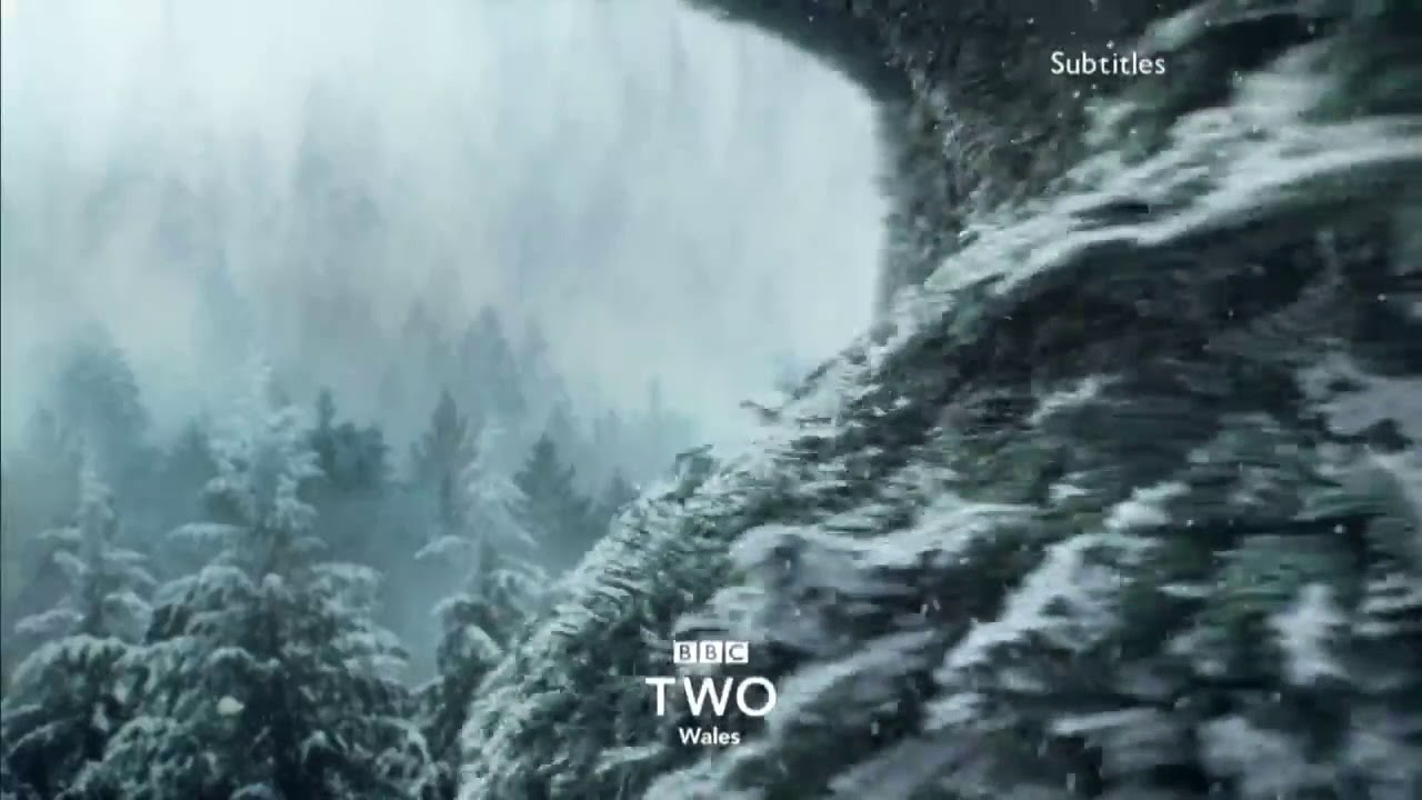 BBC2 Wales HD ''Christmas 2018'' ''Christmas Tree'' ident (''10'') (1st TX) (1080p)