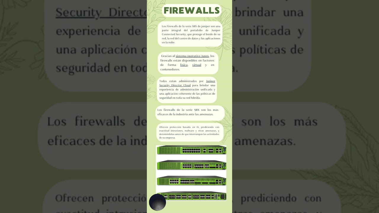 Infografía consejos para cuidar a tus plantas ilustrado verde 4