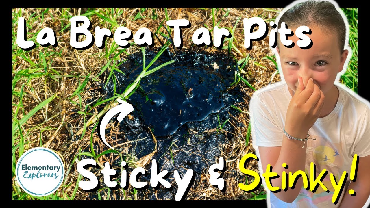 What's Happening Here? - Exploring the La Brea Tar Pits - Los Angeles, California