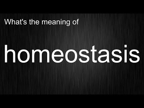 What Does "homeostasis" Really Mean? Full Explanation!