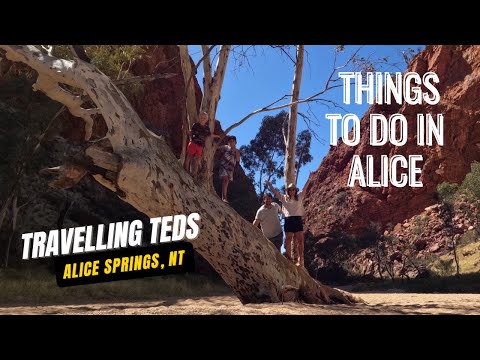 ALICE SPRINGS DISCOVERY PARK 👍 Top Things to do in 'The Alice'!
