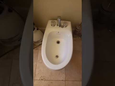 What is bidet? #englishfree #nativeenglishtutor #americanenglish #nativeenglishteacher