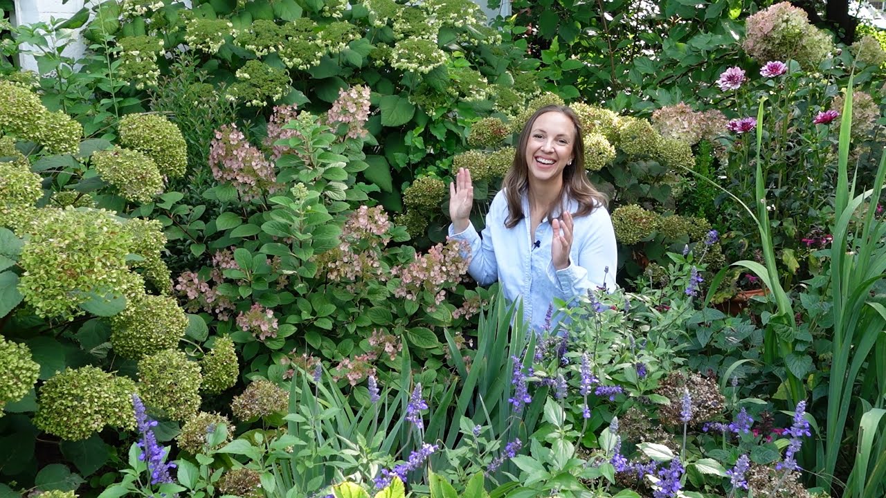 Panicle Hydrangeas for Every Garden!!! Hardy Hydrangea Tour & Talk😍💮🌸