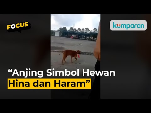 Ahli Hukum: Anjing Dipandang Haram, Jadi Dinilai Cela Simbol Negara ...