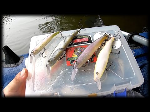 NLW エリー 115MDのちょインプレ | momo+FiSHING