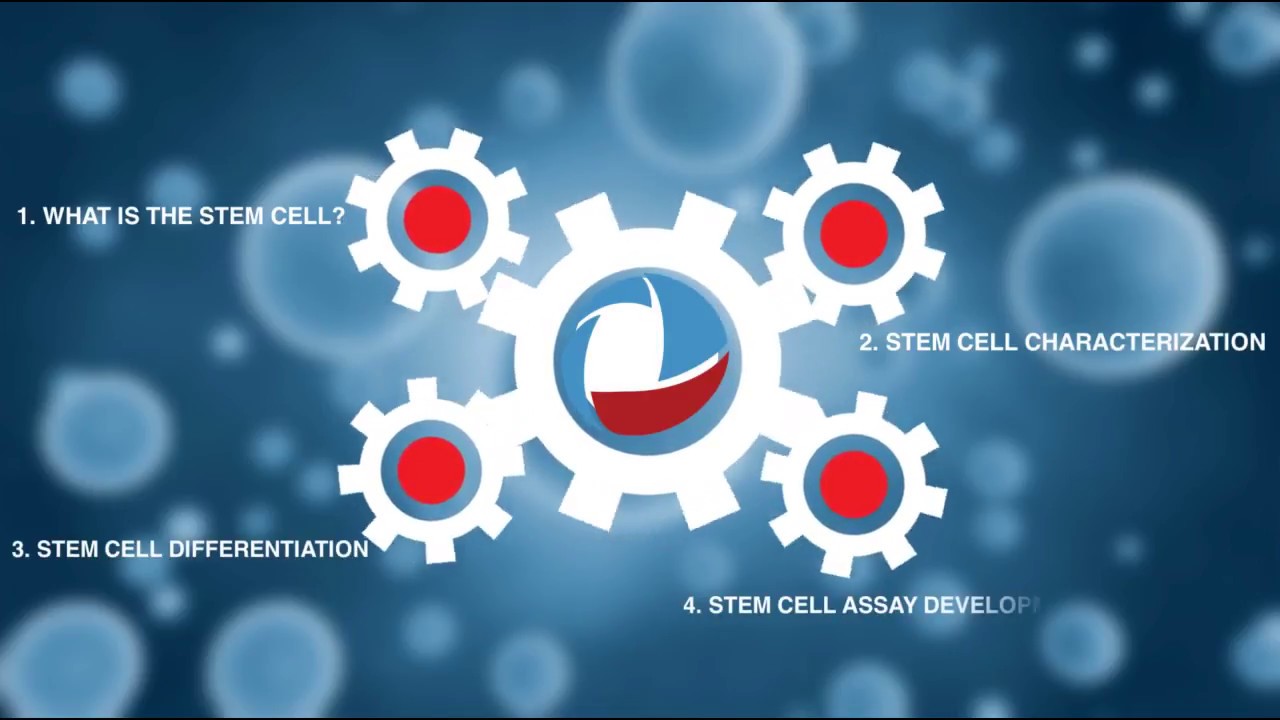 Stem Cell Research Services