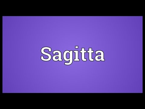 Sagitta Meaning
