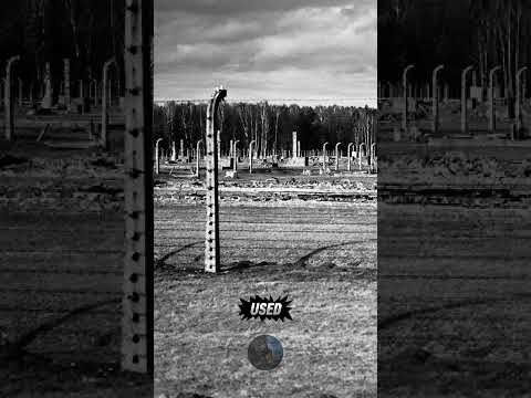 The horrors of Auschwitz 01 #history #tragedy #auschwitzbirkenau #horror #educational #shorts