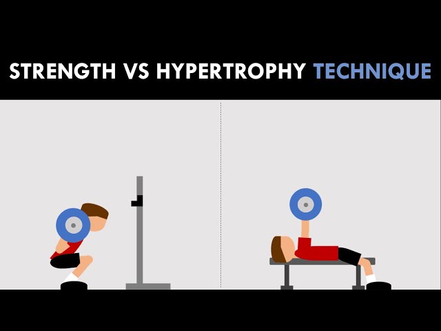 Understanding the Differences Between Strength and Hypertrophy Training ...