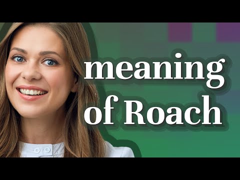 Roach | meaning of Roach