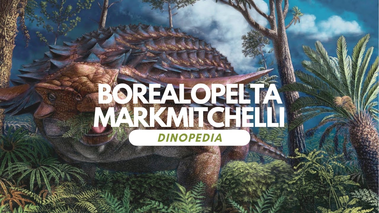 Dinopedia - Borealopelta markmitchelli