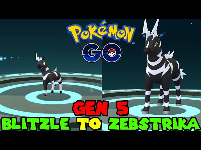 How to evolve Blitzle into Zebstrika in Pokemon GO (January 2023)
