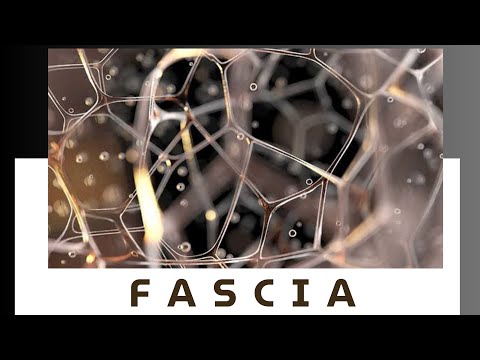 FASCIA & PROPRIOCEPTORS.