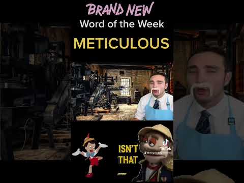 Short Word of the Week 105: Meticulous
