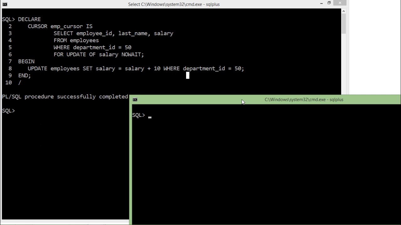 Oracle - PL/SQL - Advanced Cursors
