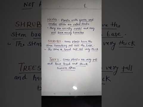 Difference Between HERBS, SHRUBS and Trees.Class 6 SCIENCE