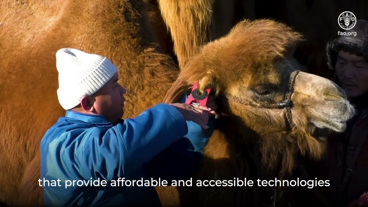 RAP Digital Villages Initiative Overview