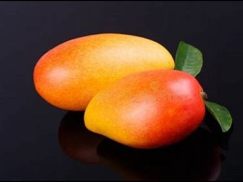 Scientific name of Mango