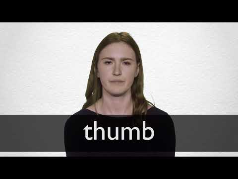 Spanish Translation of “THUMB” | Collins English-Spanish Dictionary