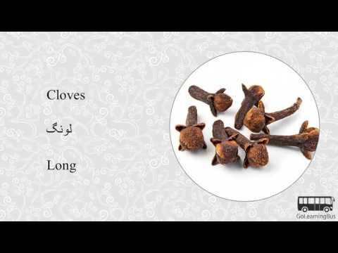 Learn Urdu Visual Dictionary - Herbs and Spices via Videos by GoLearningBus(3D)