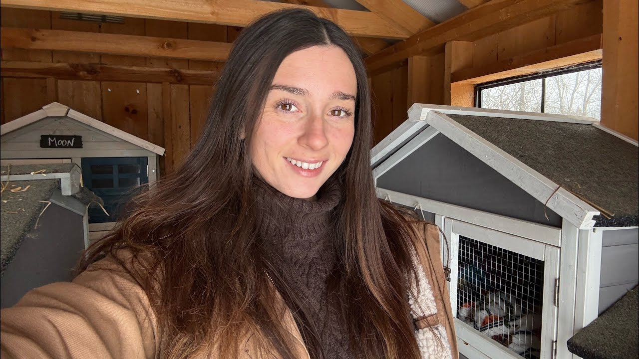 The total cost to start a small farm in 2026 (it may surprise you)