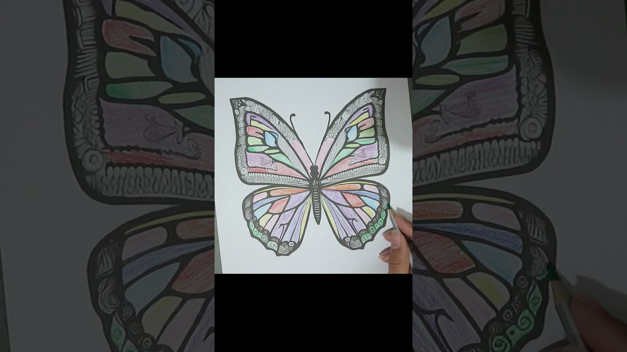 Butterfly Coloring Page Time Lapse