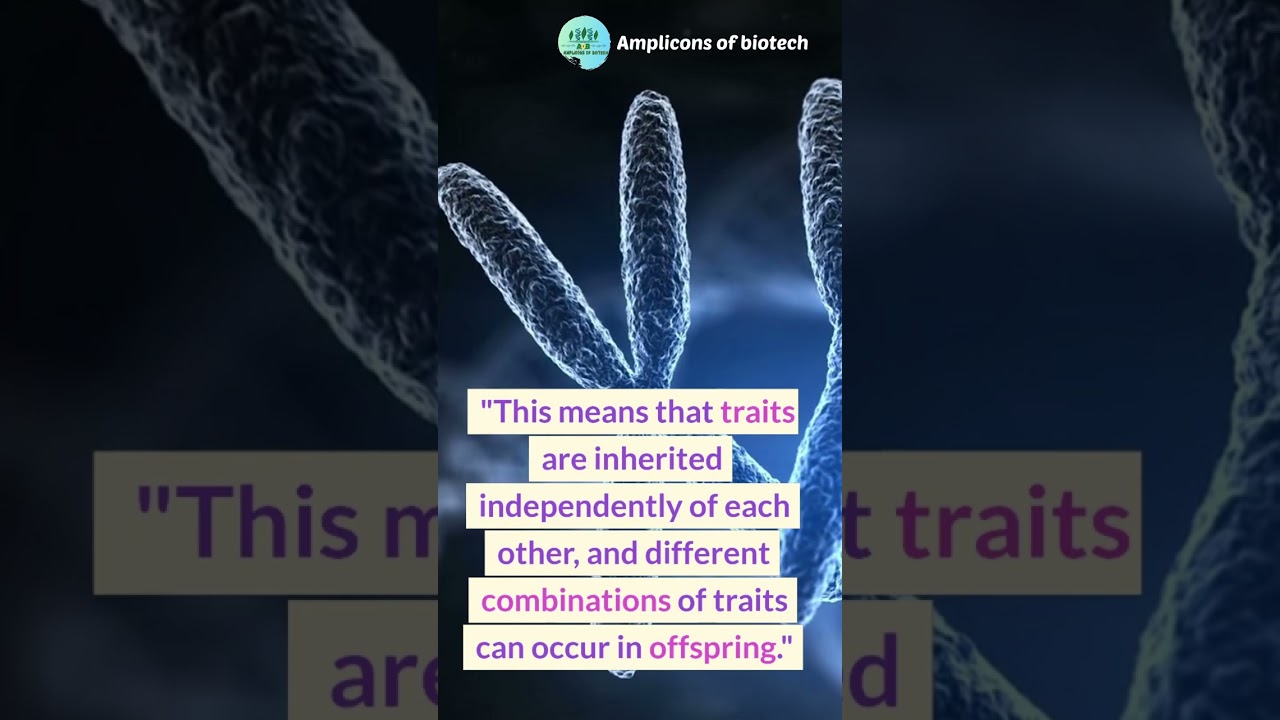 Mendel’s laws. #youtubeshorts #shorts #genetics #biotechnology