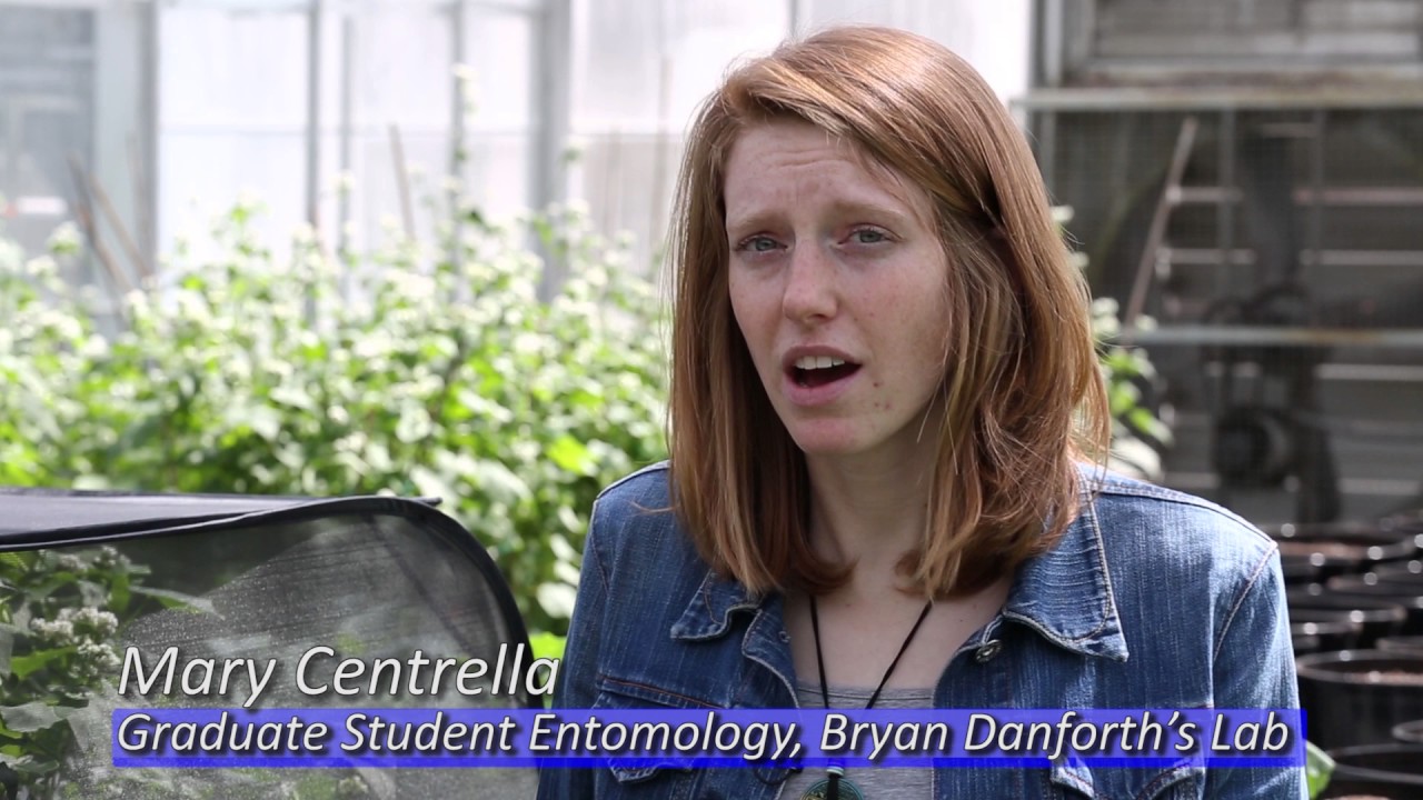 Cornell Entomology Students