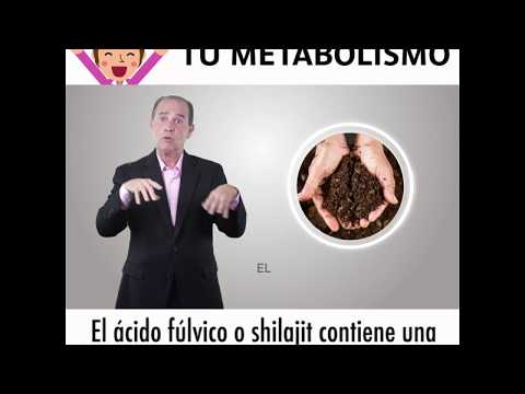 Restaura tu metabolismo con SOMARENEW
