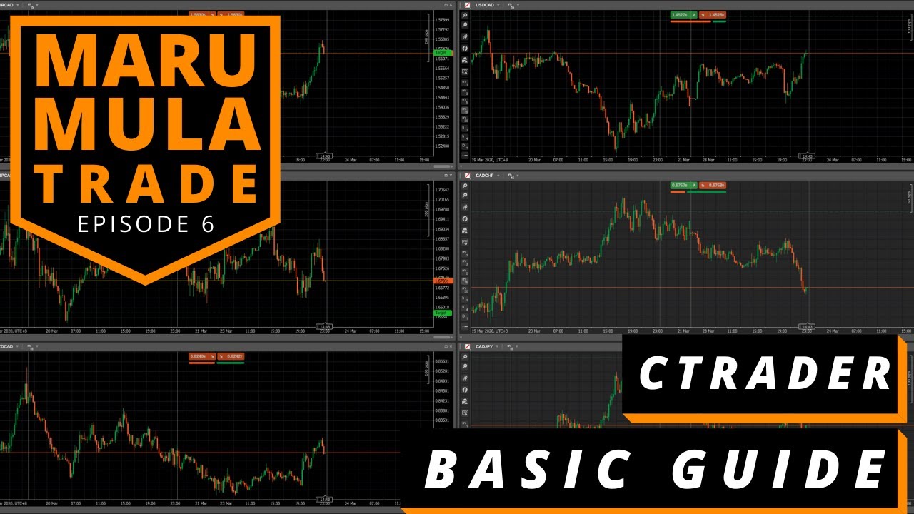 EP 6 : PANDUAN BASIC cTRADER