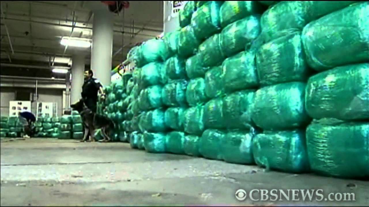 Six tons of marijuana seized in Chicago