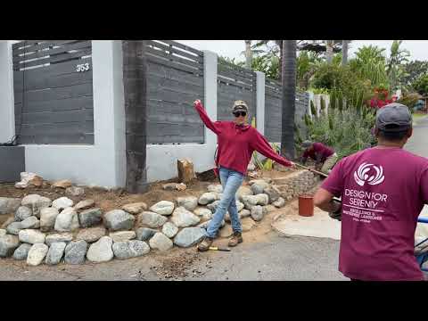 Leucadia Succulent Front Yard Installation 5/5/2021 Day 3