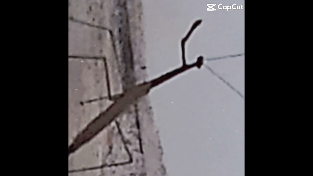 STICK-BUG EDIT