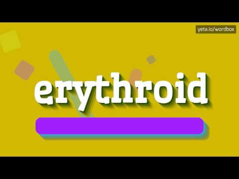 ERYTHROID - HOW TO PRONOUNCE IT!?