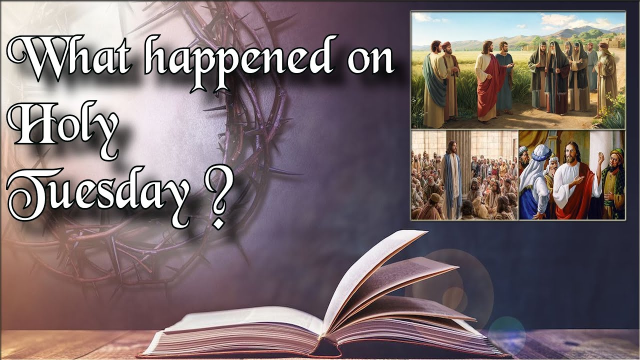 What happened on Holy Tuesday ? | Holy Week Reflections