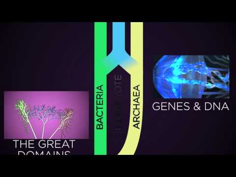 Educational Tree of Life Introduction