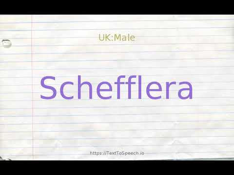 How to pronounce schefflera