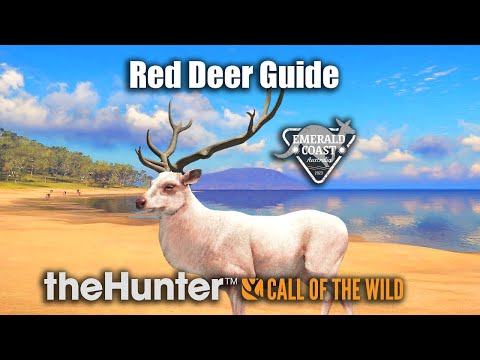 Steam Community :: Video :: Red Deer Guide - Emerald Coast Australia ...