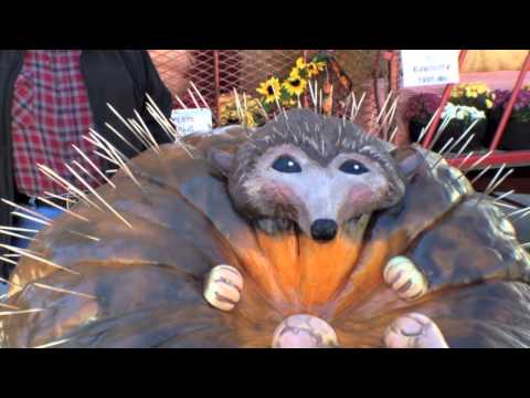 Damariscotta Maine Pumpkinfest 2014