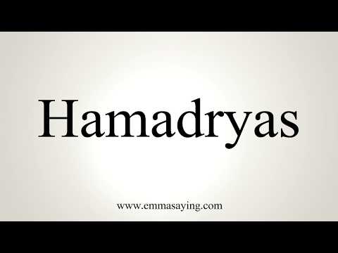How To Pronounce Hamadryas