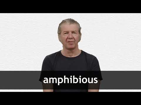 AMPHIBIOUS definition and meaning | Collins English Dictionary